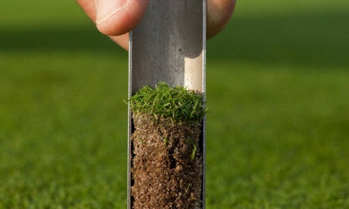 Learn What Essential Nutrients Your Plants Need | Milorganite