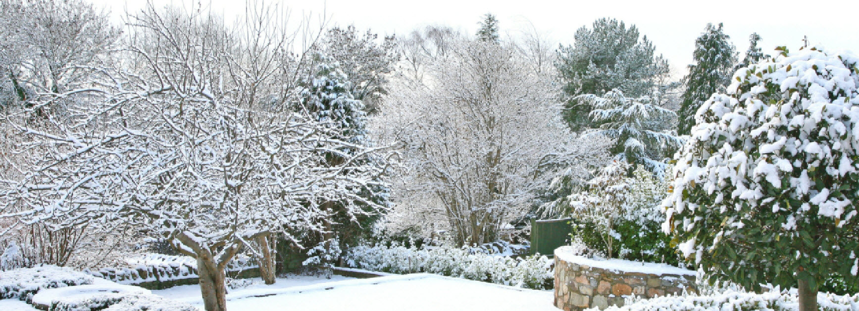 Milorganite Blog: Garden & Landscape